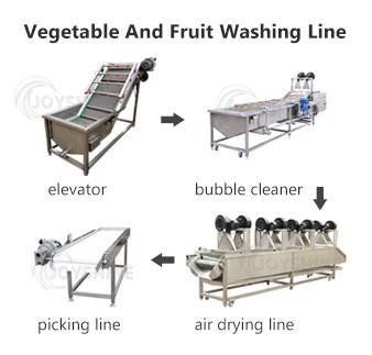 Vegetable And Fruit Washing Line